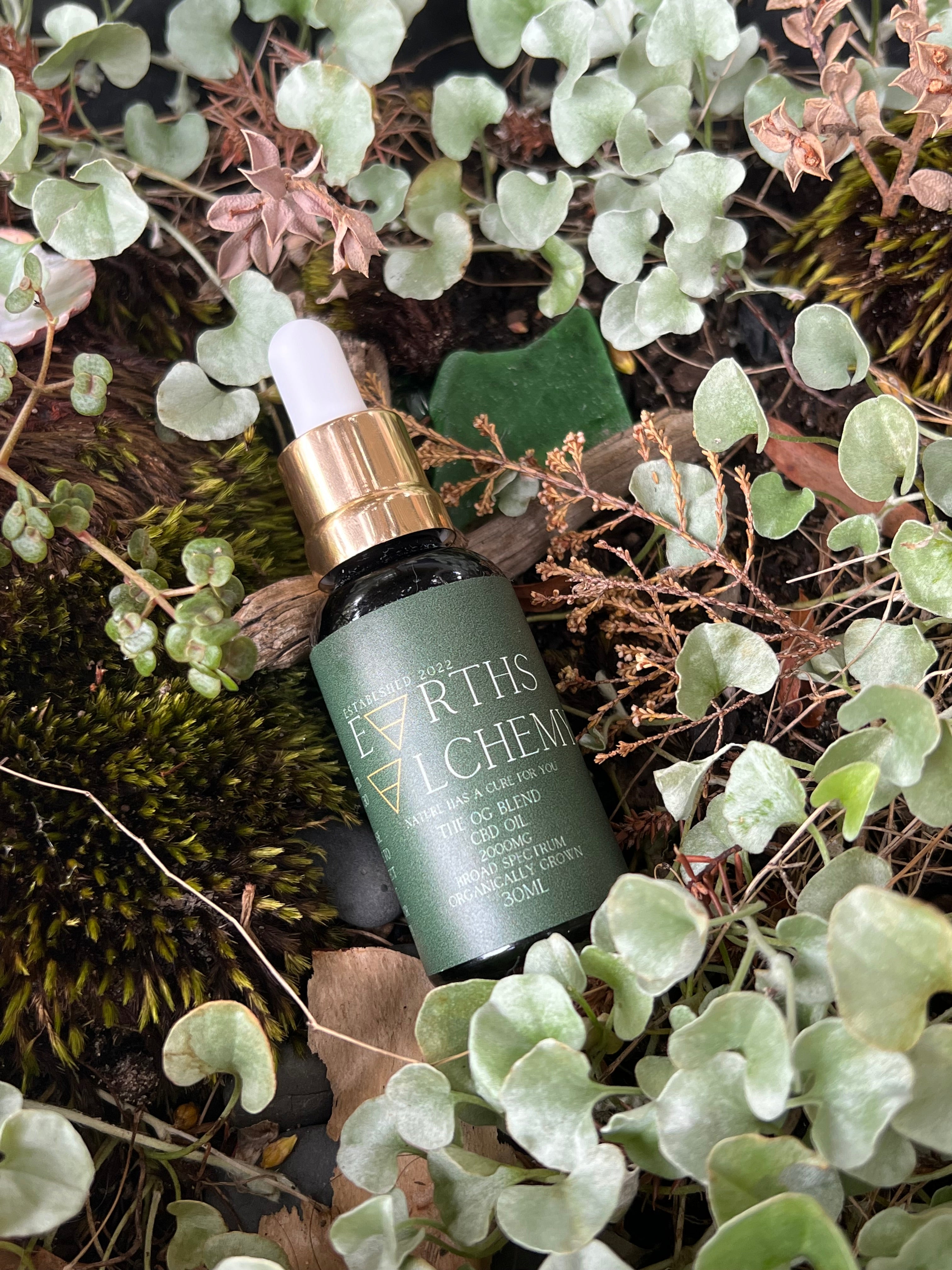 Bliss oil Truffle balls – Earths Alchemy Oils